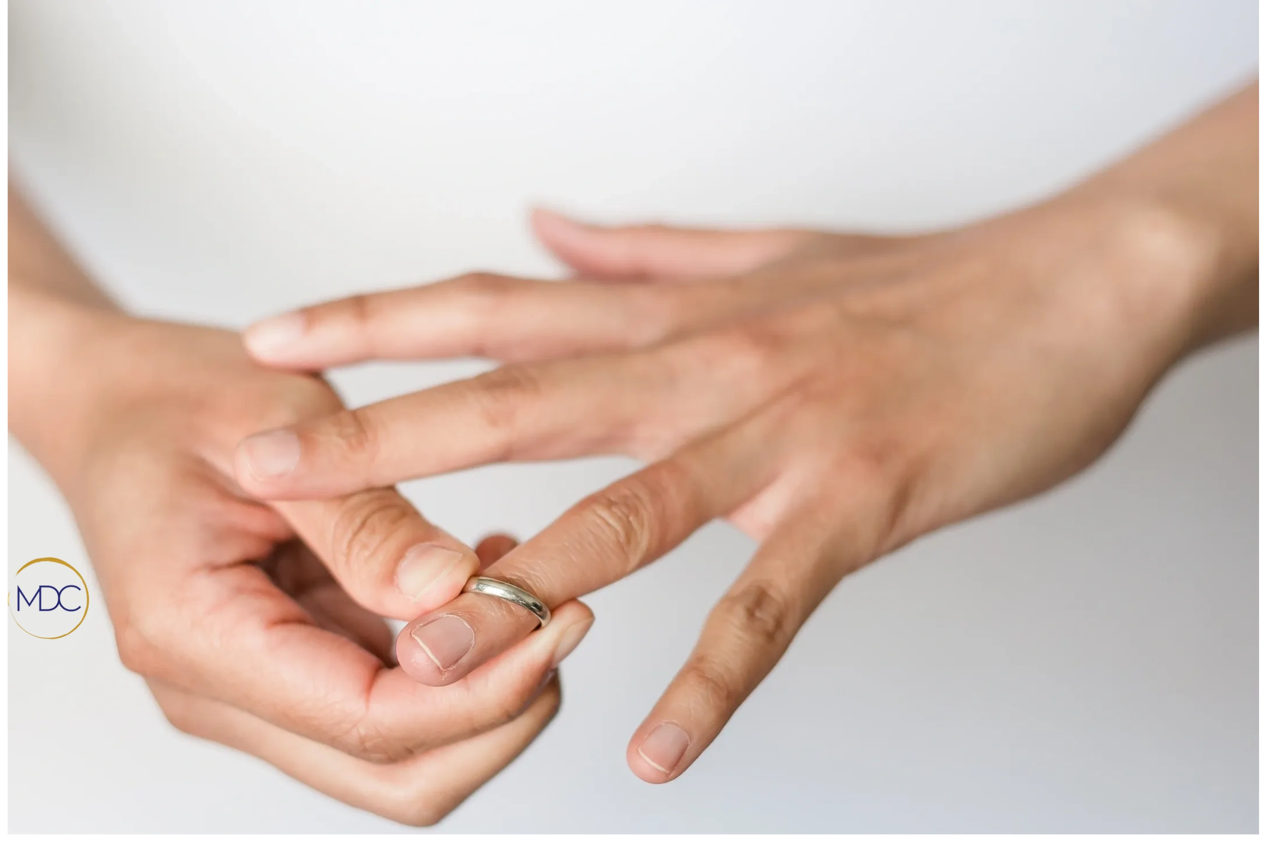 Client Intake Form - Michigan Divorce Concierge