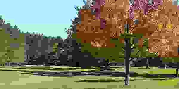 The Waters Of Minocqua - Area Attractions - Minocqua, Wisconsin | The ...