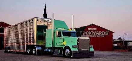 Home [elevatedtruck.com]