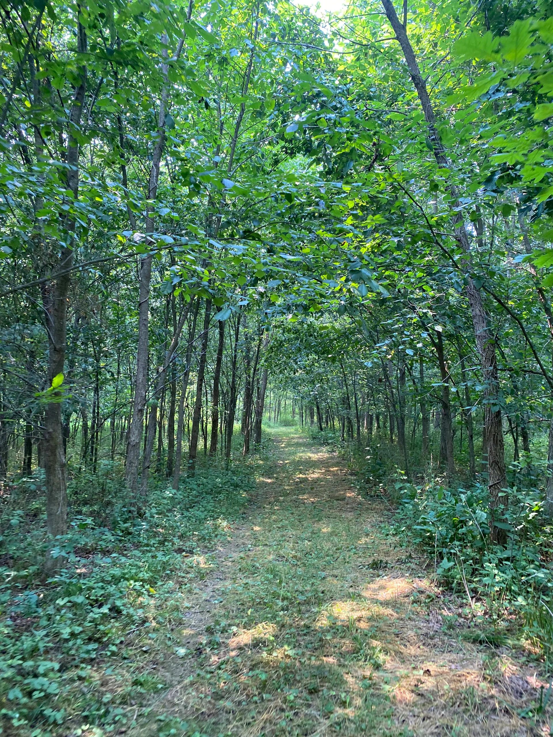 Ramser Arboretum
