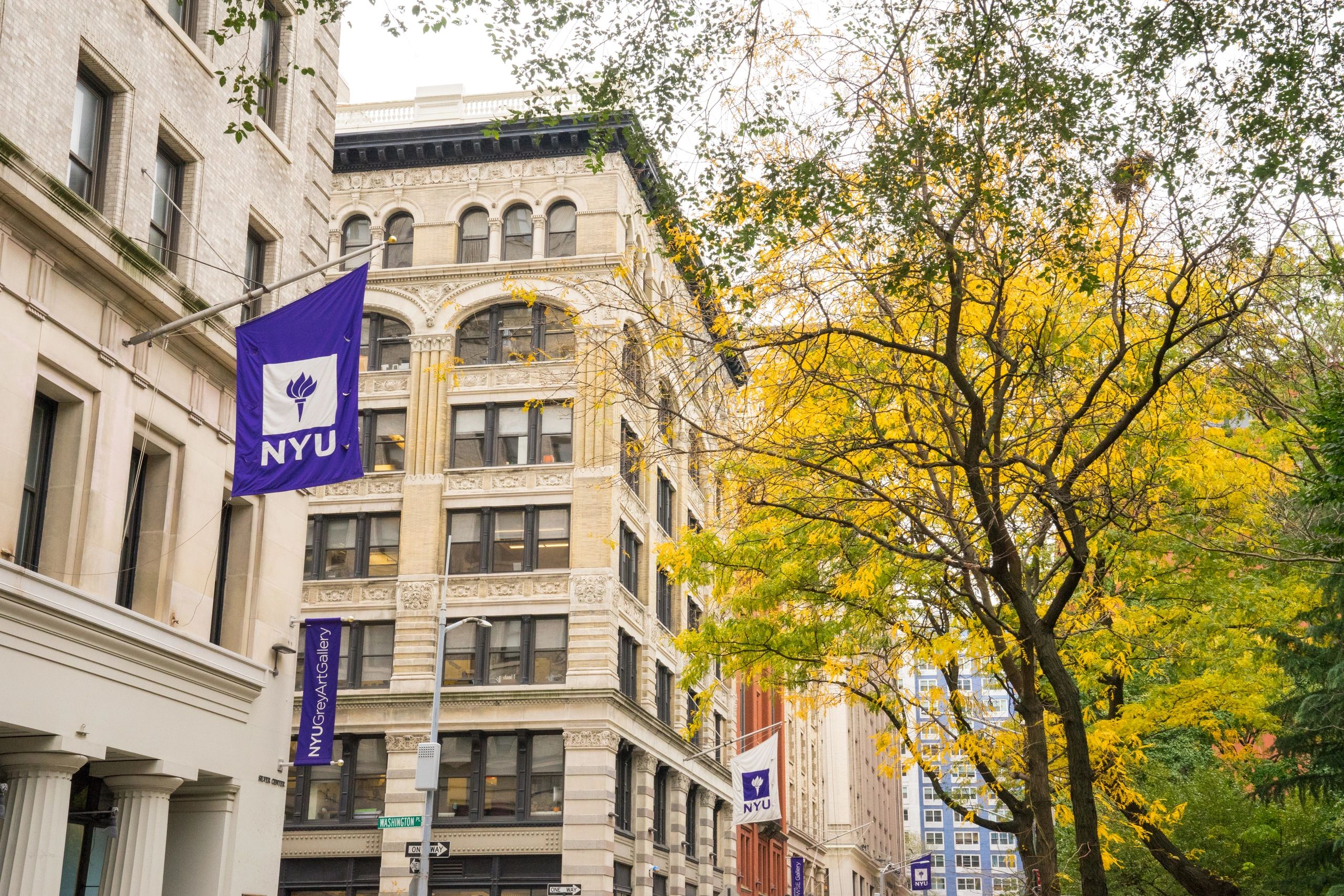 Nyu Steinhardt Building