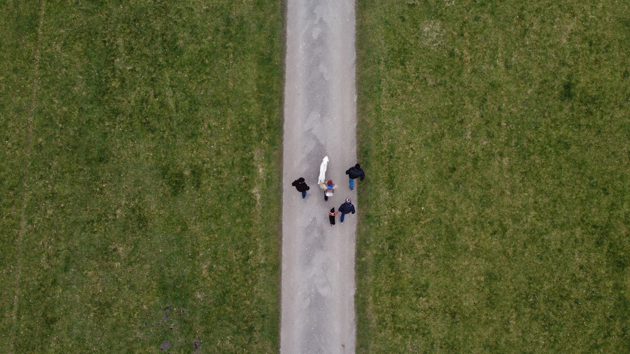 Walking Outdoors and its Benefits for Men's Mental Health