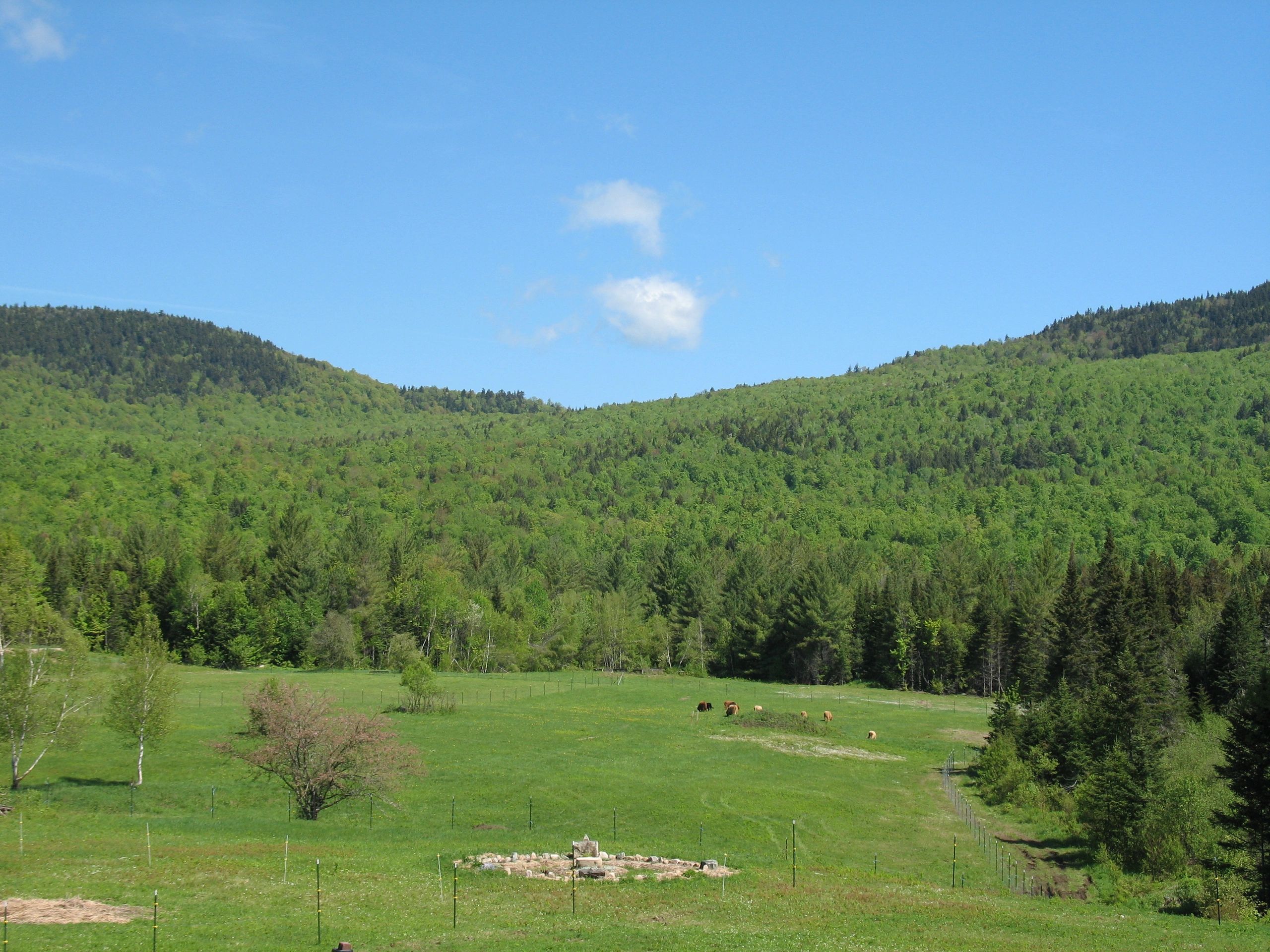 Ashmede Farm - Pasture Raised Animals, Herbal Products