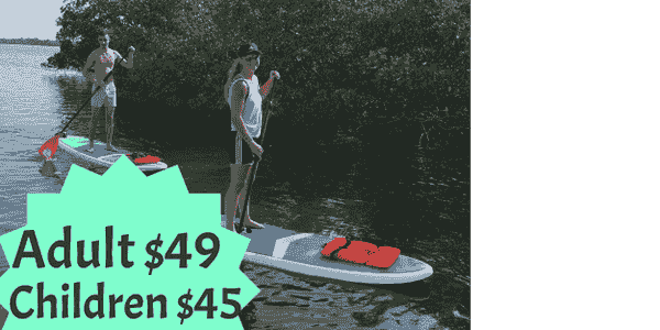 Adventure Paddle Board Ecotour - Naples Paddleboard | Naples Paddleboard