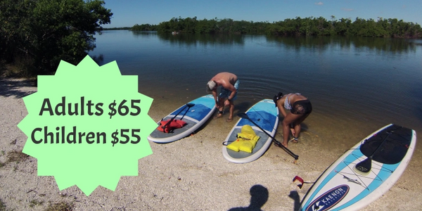 Adventure Paddle Board Ecotour - Naples Paddleboard | Naples Paddleboard