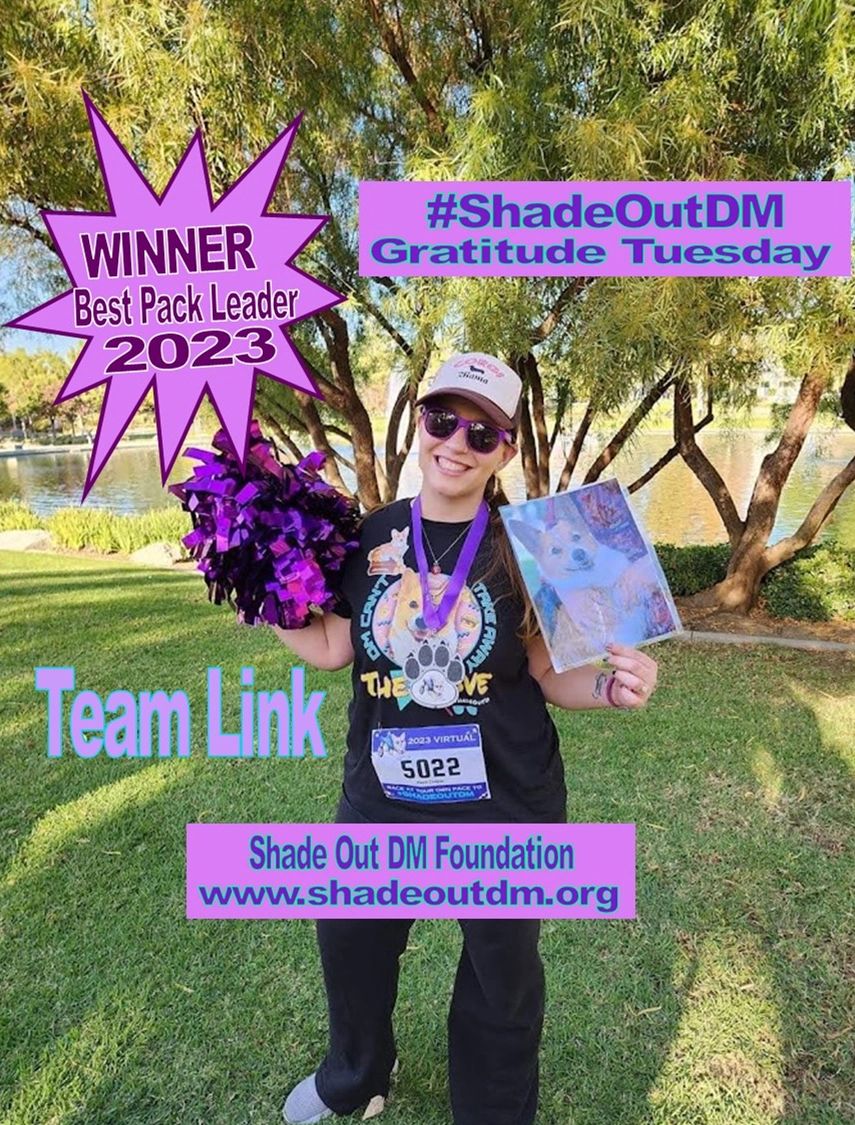 Gratitude Tuesday - Team Link