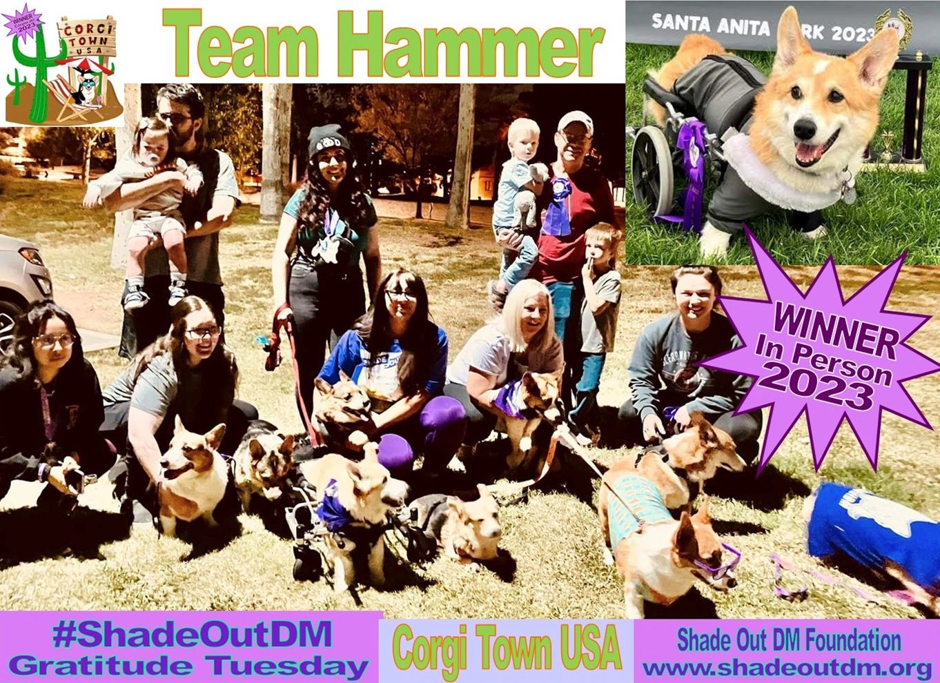 Gratitude Tuesday - Team Hammer