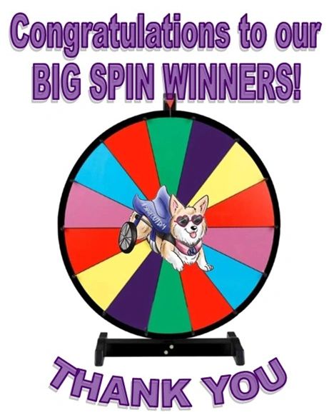 Congratulations to #ShadeOutDM BIG SPIN WINNERS