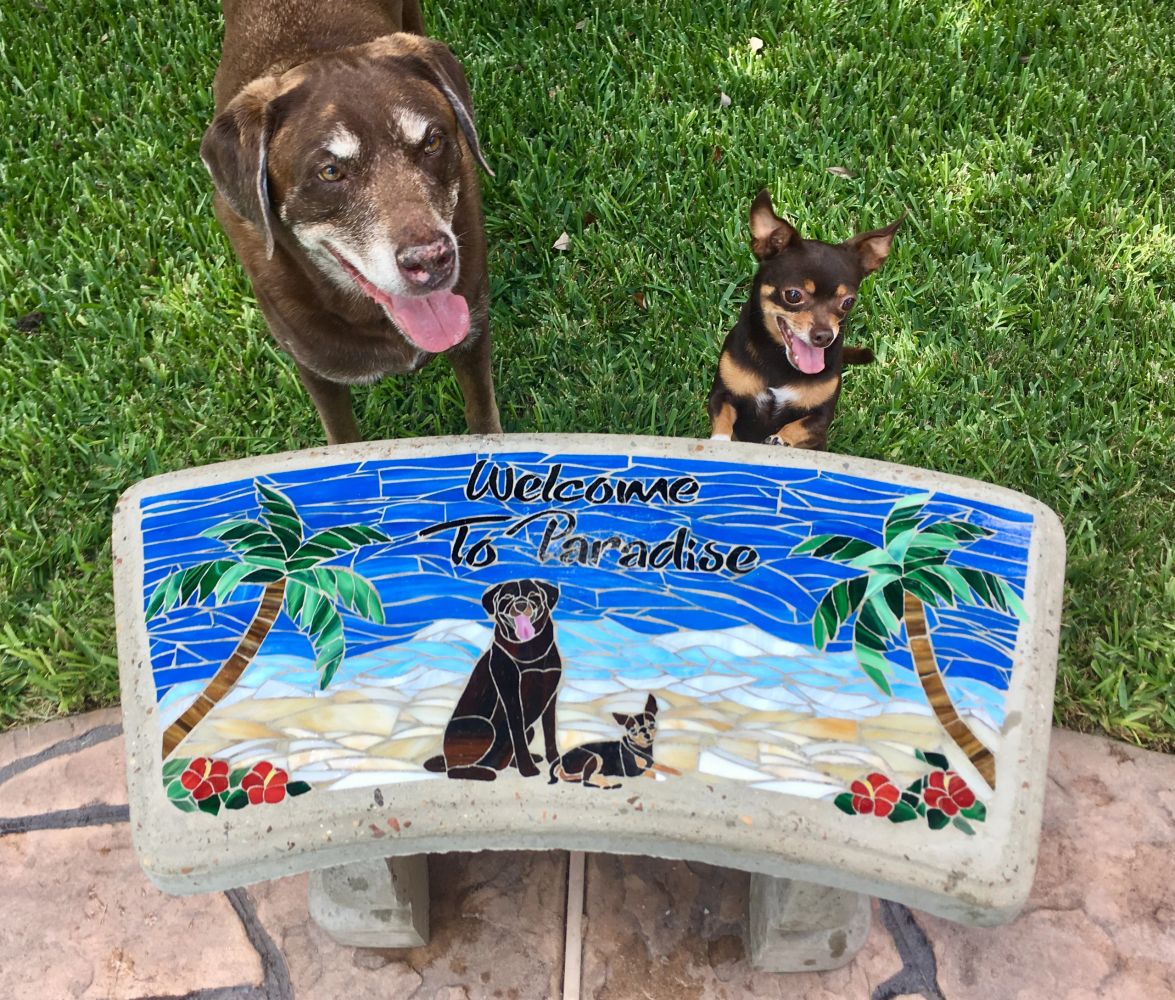 The Stoned Butterfly - Mosaic Stepping Stones, Pet Memorial, Custom ...