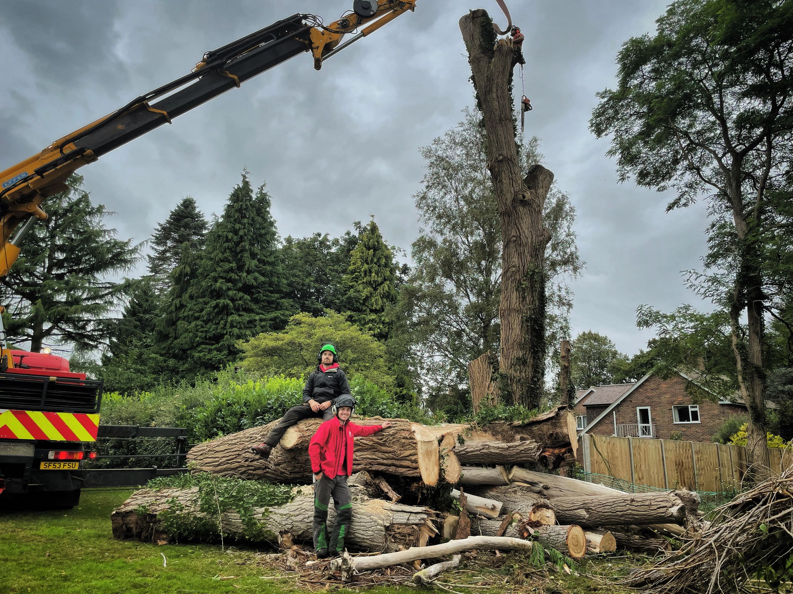 Ashley Sayers Tree Services - Tree Surgery Solihull, Tree Surgeon