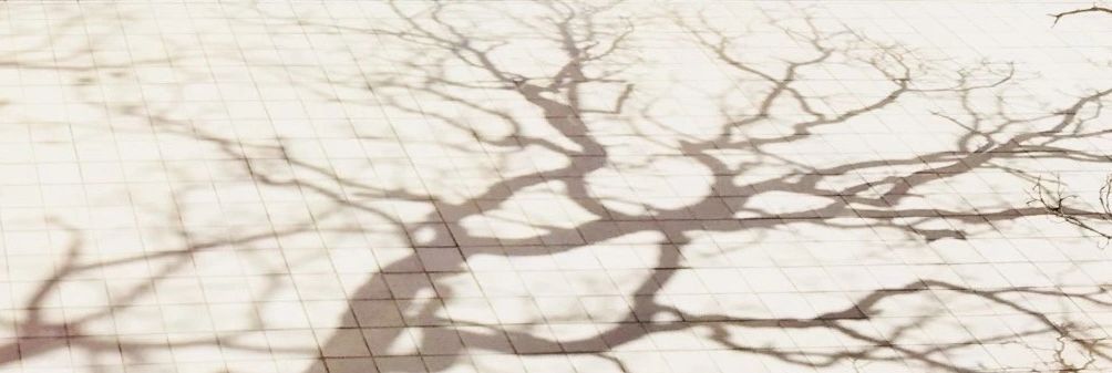 Samara Natural Resources Consulting - Home