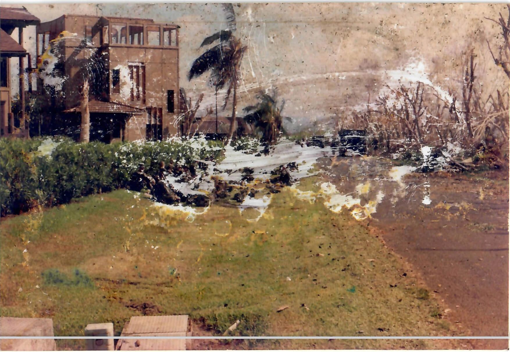 Mauna Kai after Hurricane Iniki, Kauai, Hawaii 1992