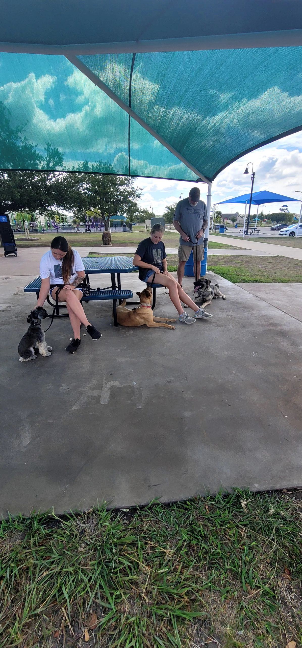 Dog Obedience Training - M Pack Dog Training, LLC