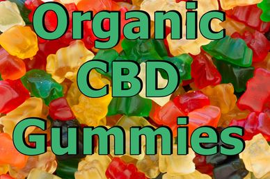 Pickles - Doctor Pickle