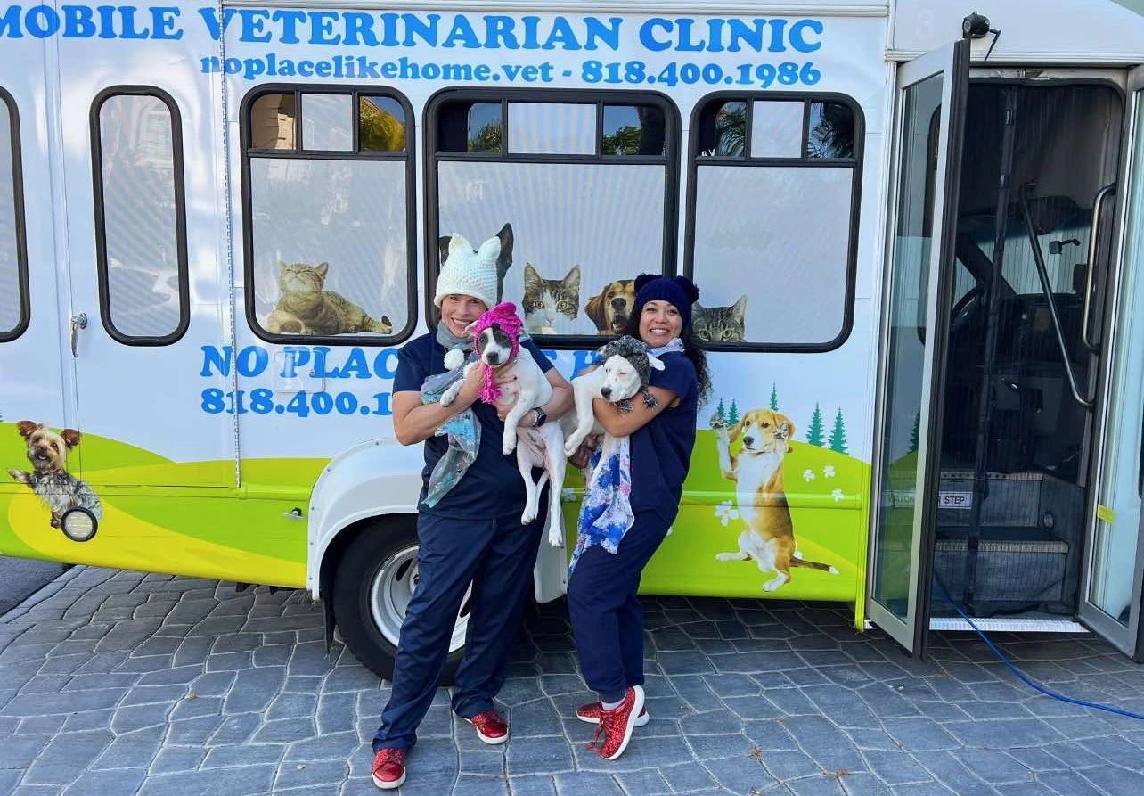 How Appointments Work