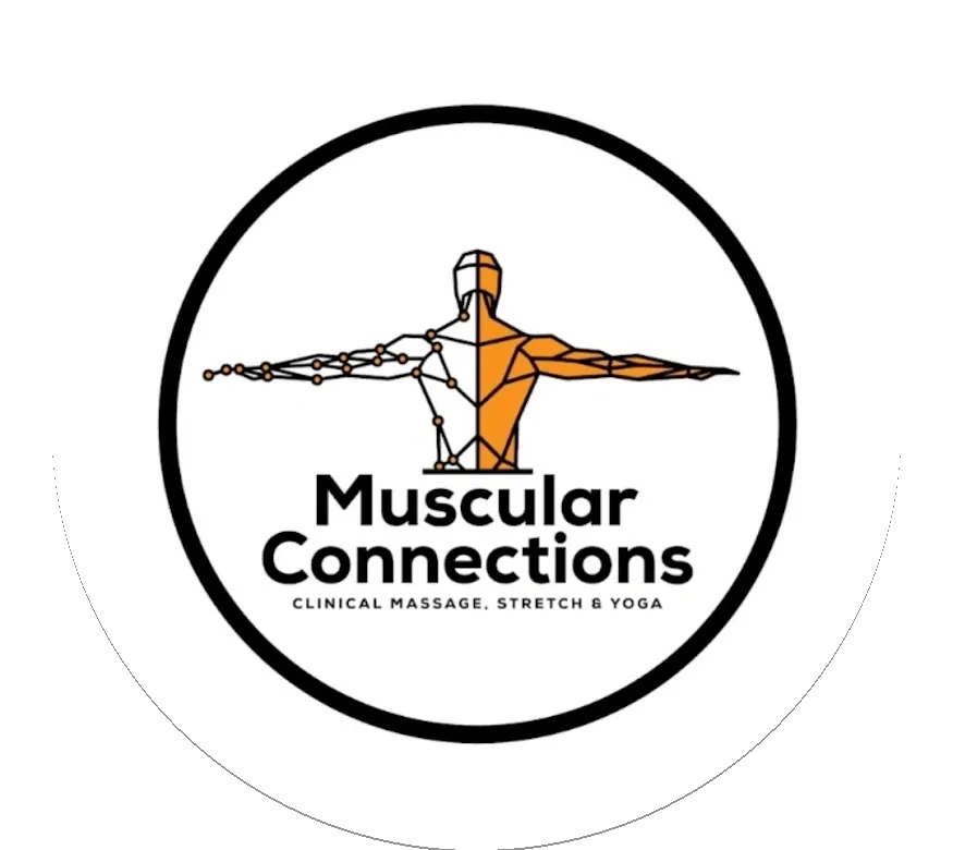 Paula Sheehan | Muscular Connections
