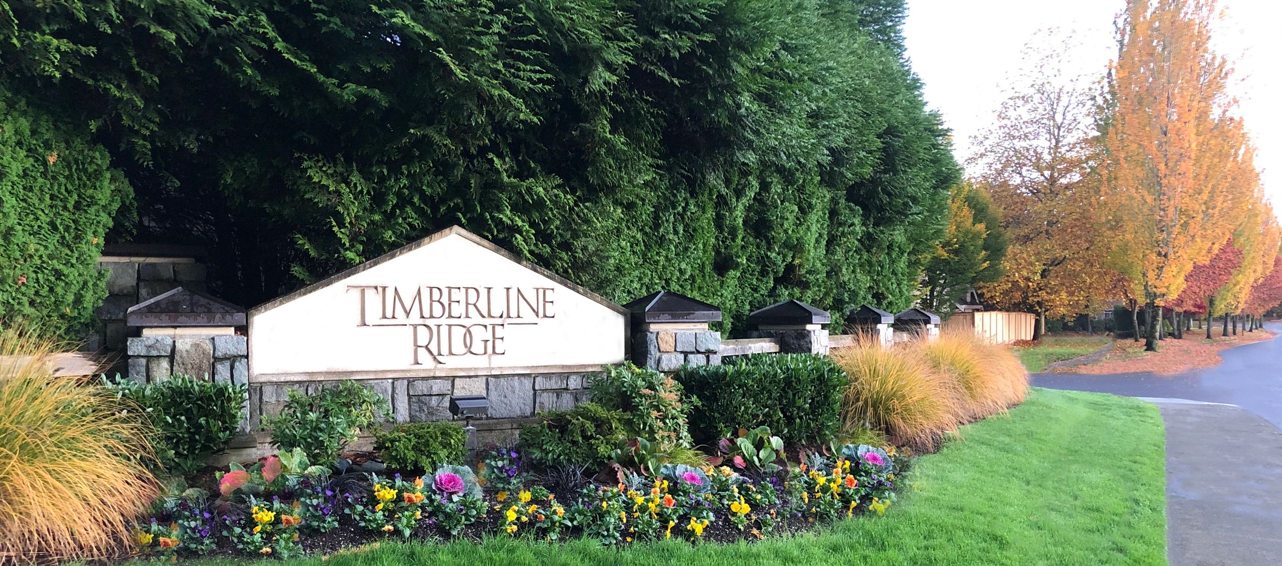 Timberline Ridge HOA - Home