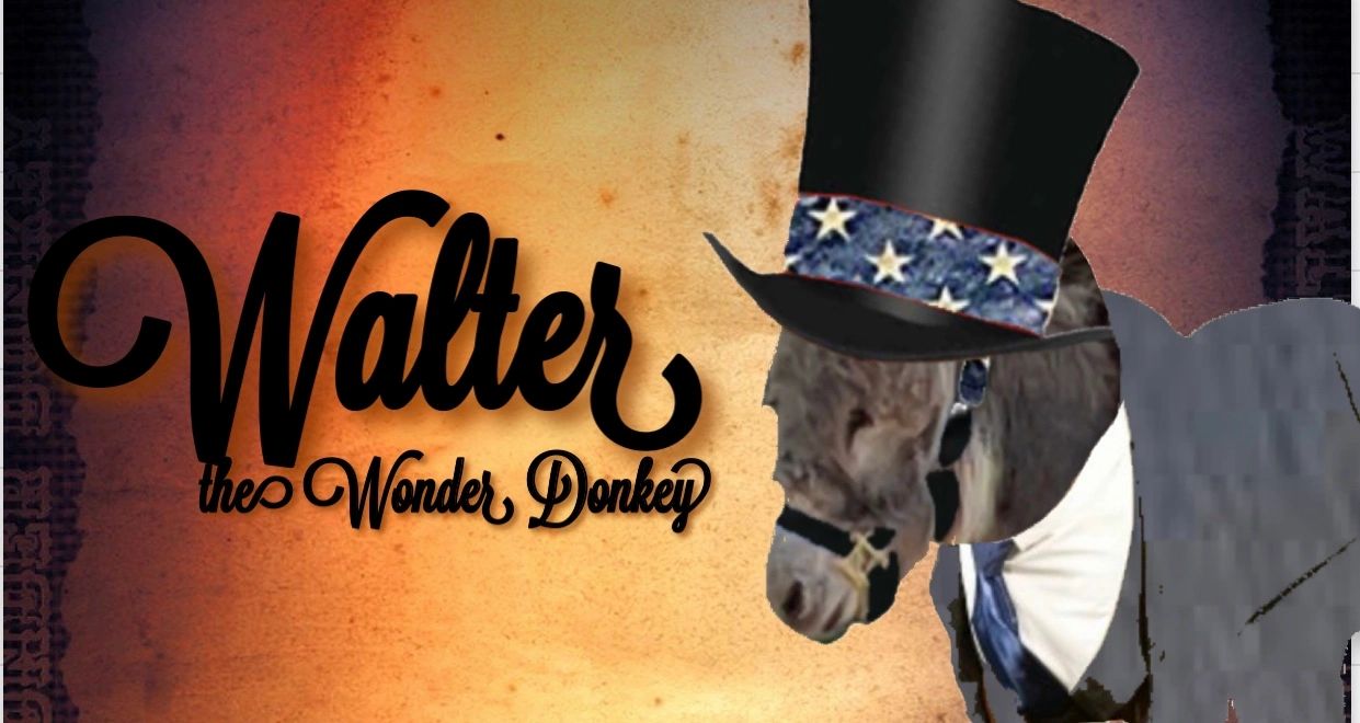 Walter the Wonder Donkey in Oatman, Arizona