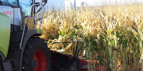 Services | A Cut Above Silage and Contracting