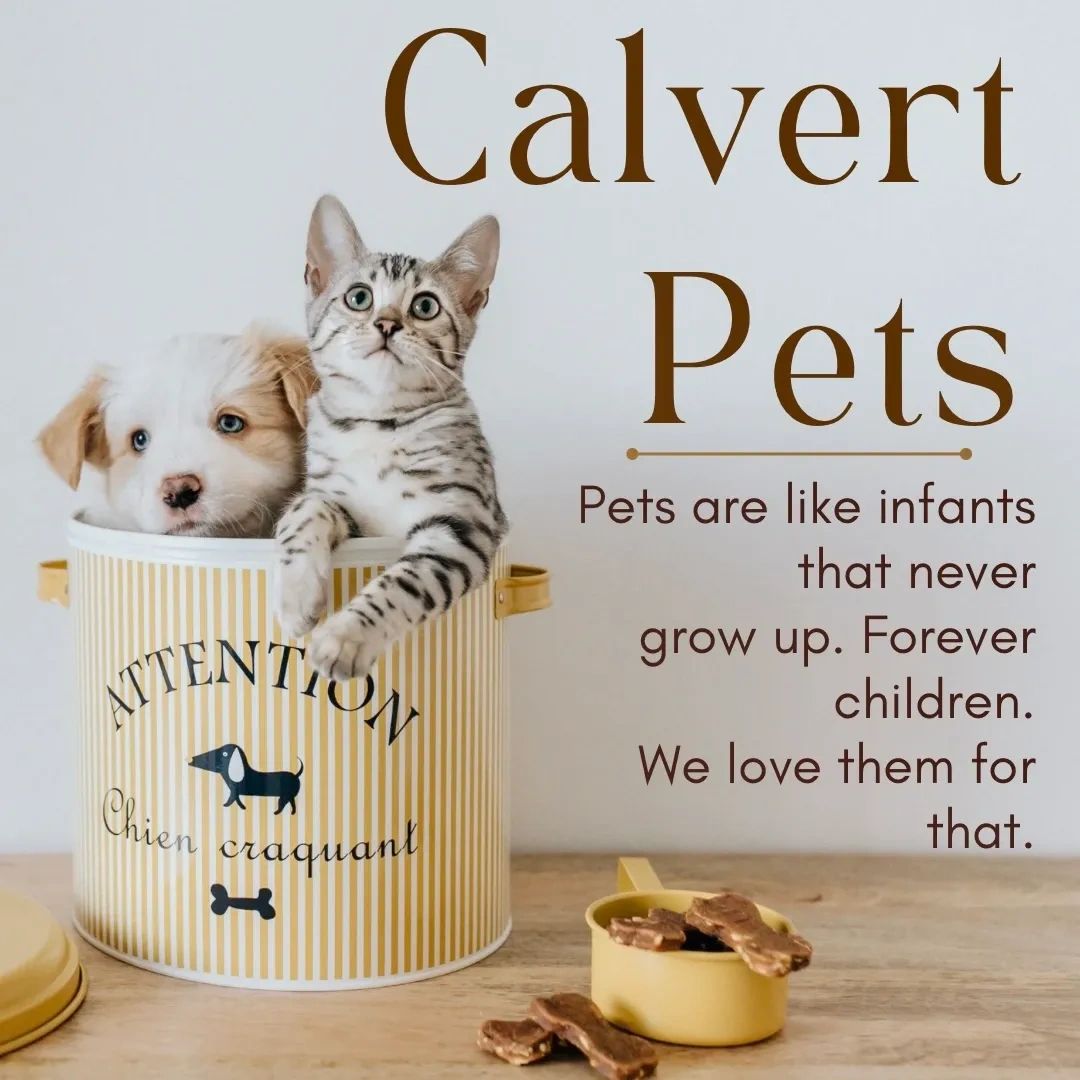 Calvert Pets