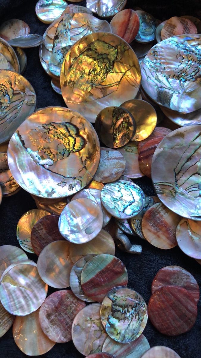 2.5 inch Abalone discs