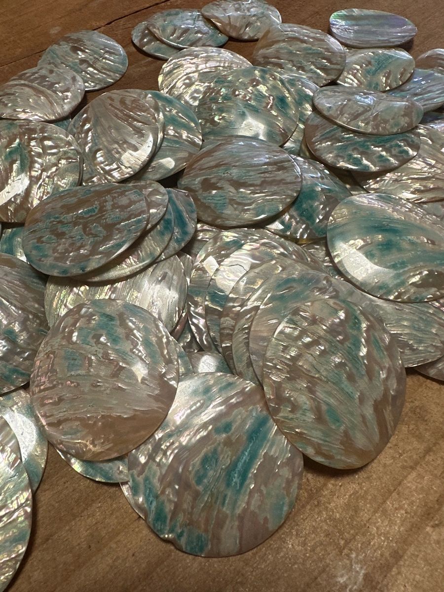 10 2 inch Polished blue tiger Abalone Shells