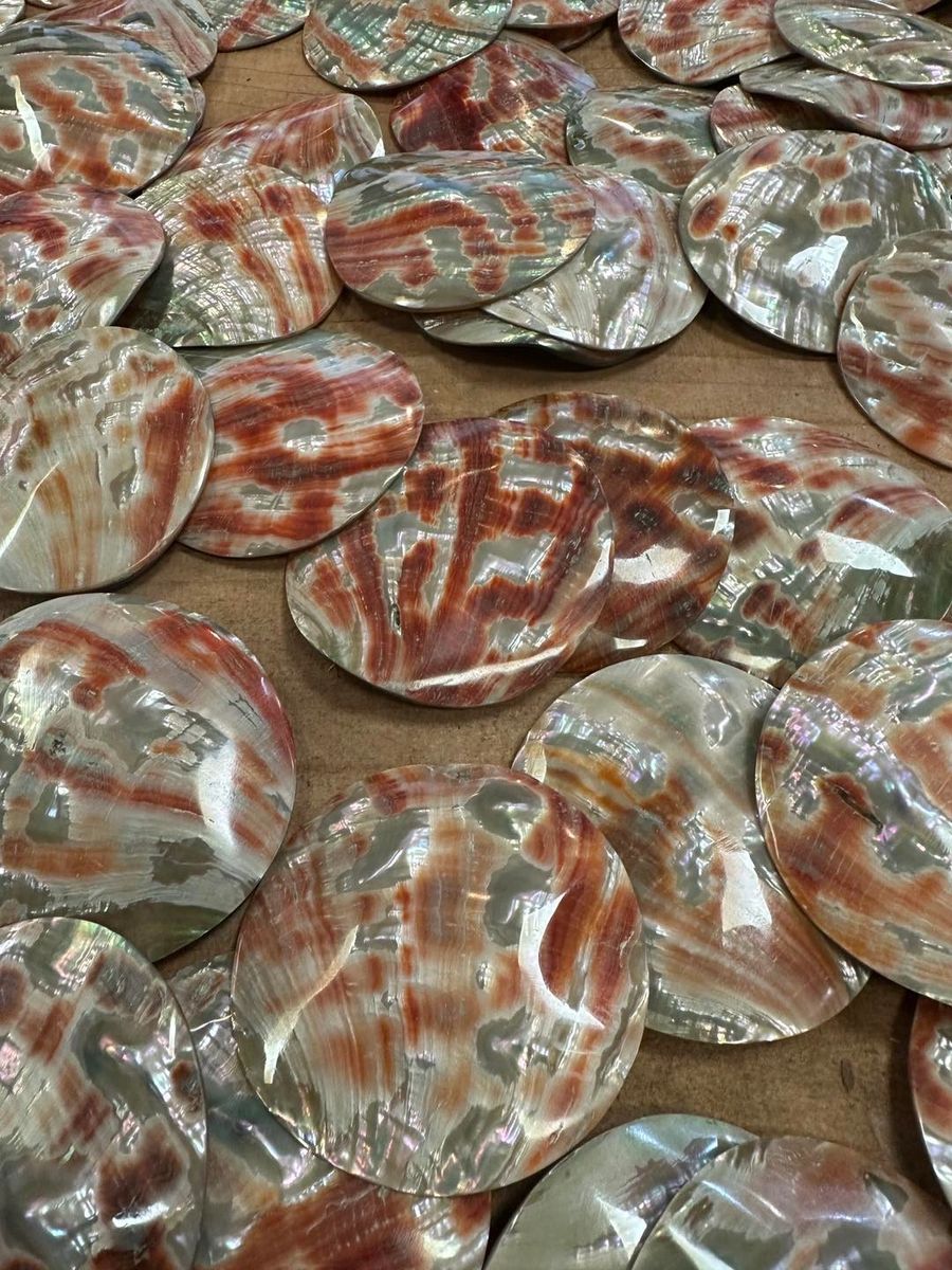 3 inch Polished Red Abalone Discs