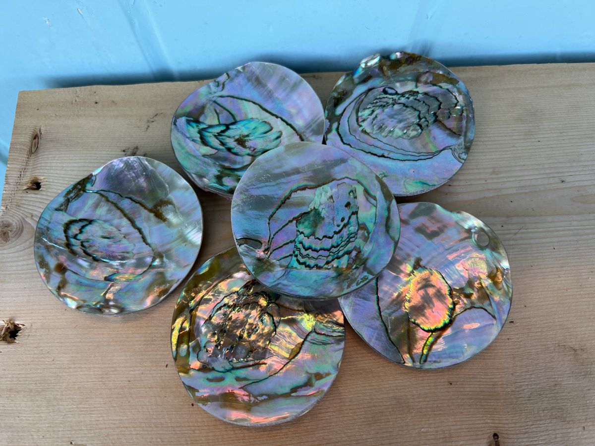 3 inch Abalone discs