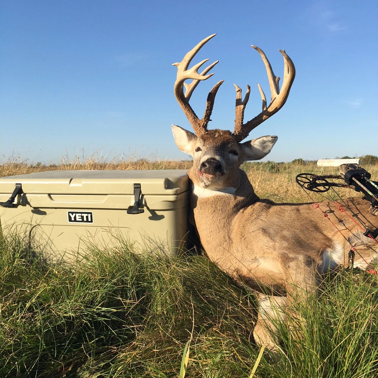 Kansas Outfitter - big Kansas whitetails