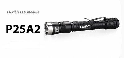EagTac P25A2
