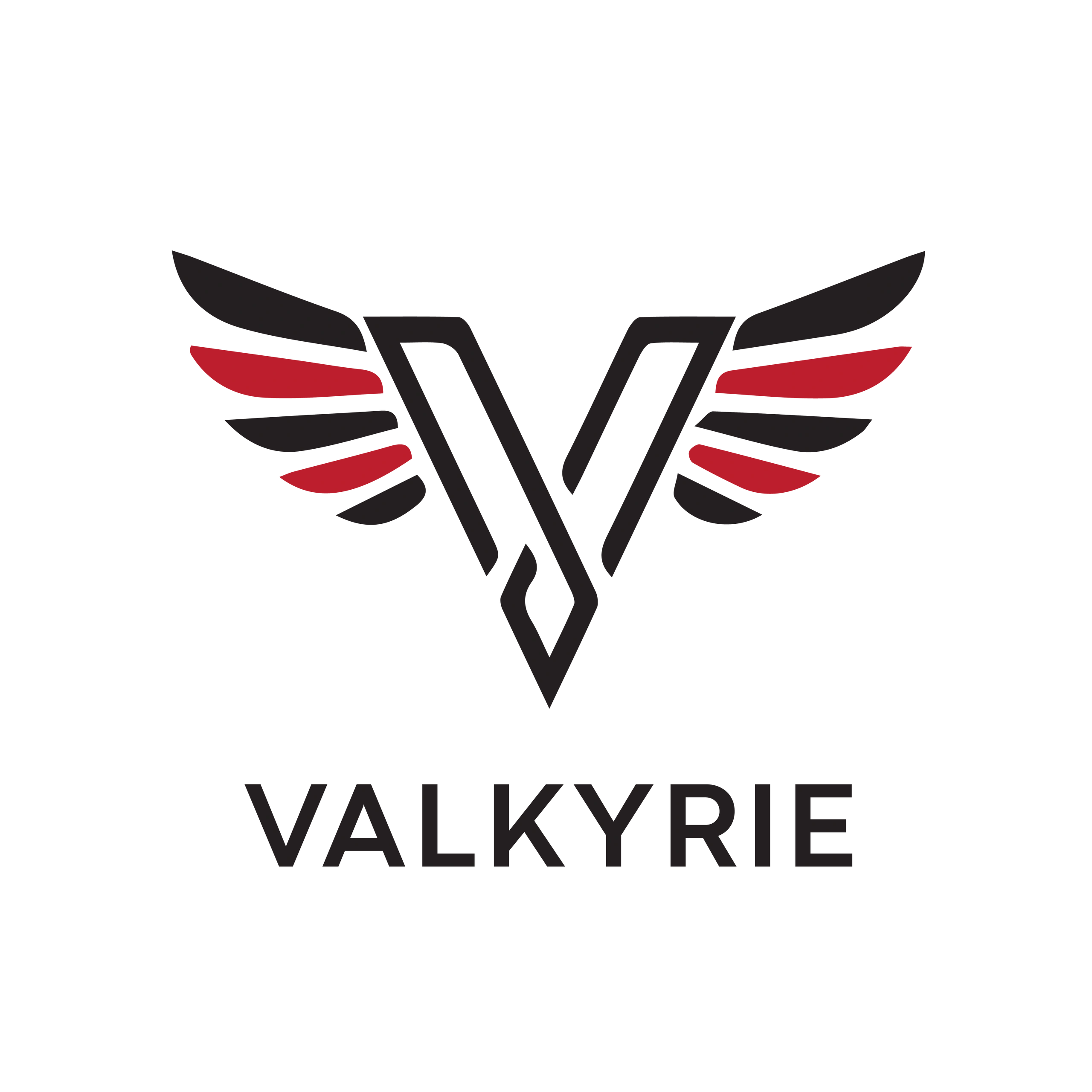 Valkyrie Investment Group - Residential Construction and Remodeling