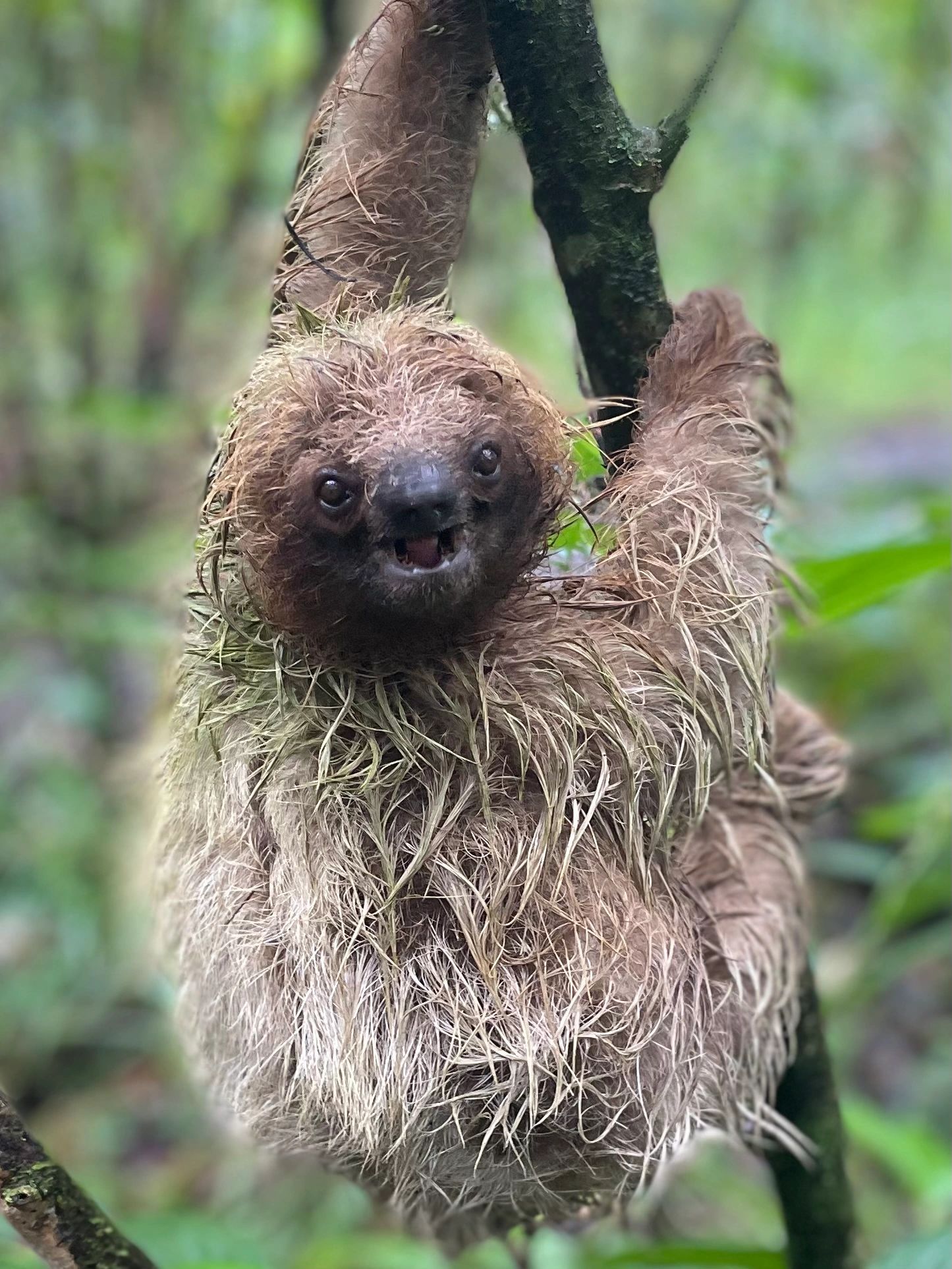 Best Tour Agency in Costa Rica