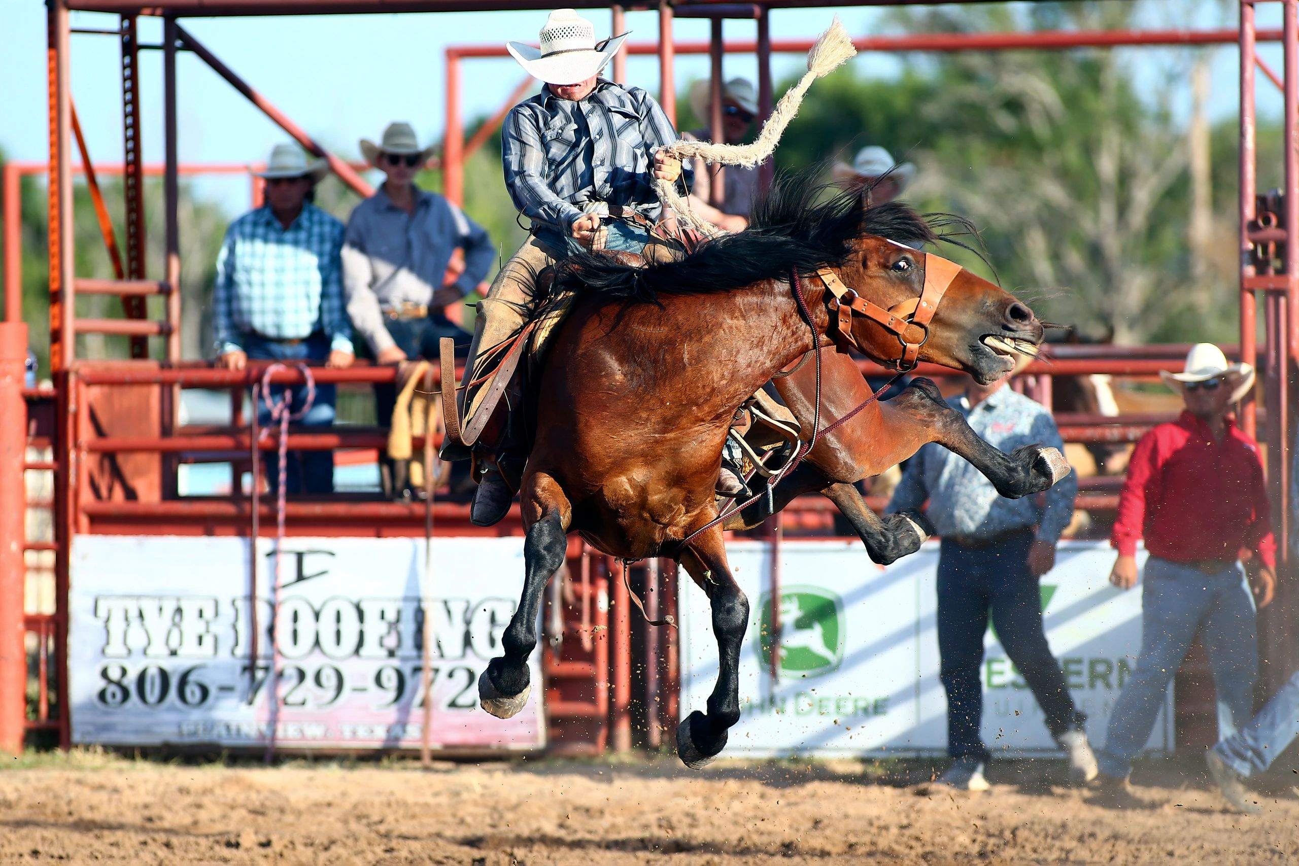 Paul Roberts Photography