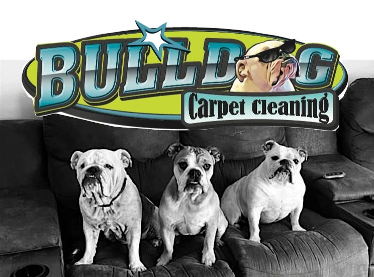 Best Carpet Cleaner - Bulldog Carpet Cleaning
