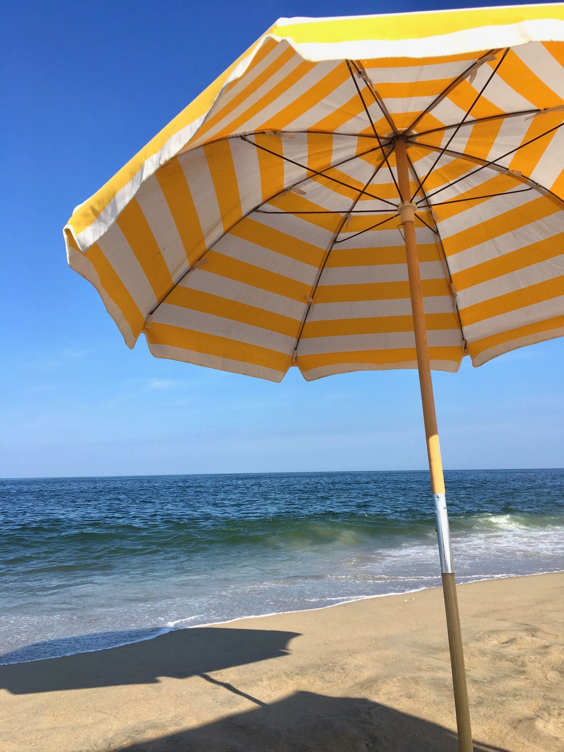 Gail's Story | The Gail robinson Fund