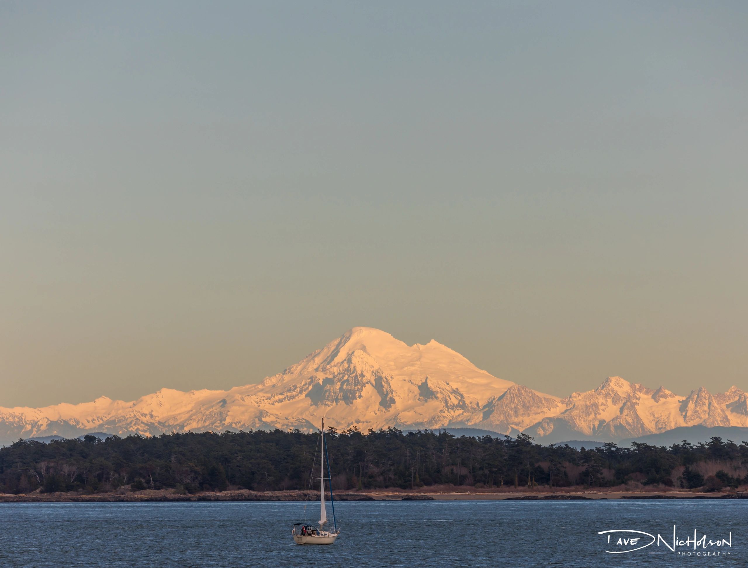 Dave Nicholson Photography