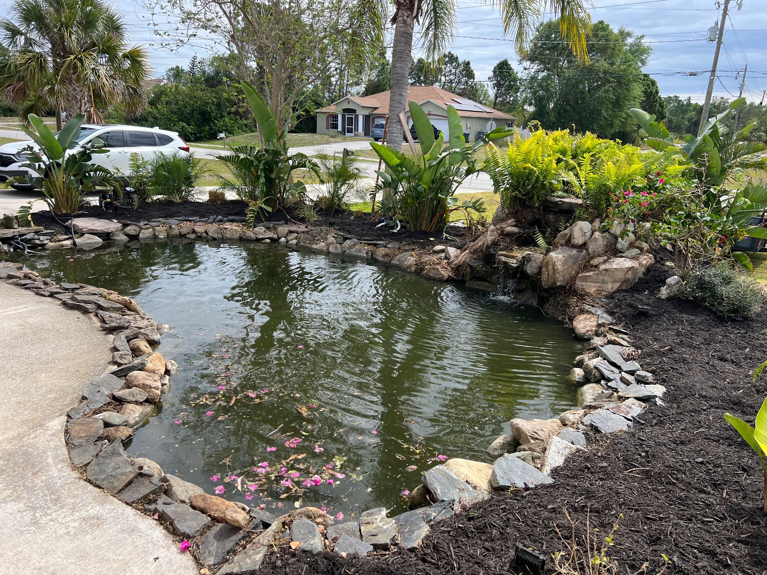 Professional Landscape Maintenance Services