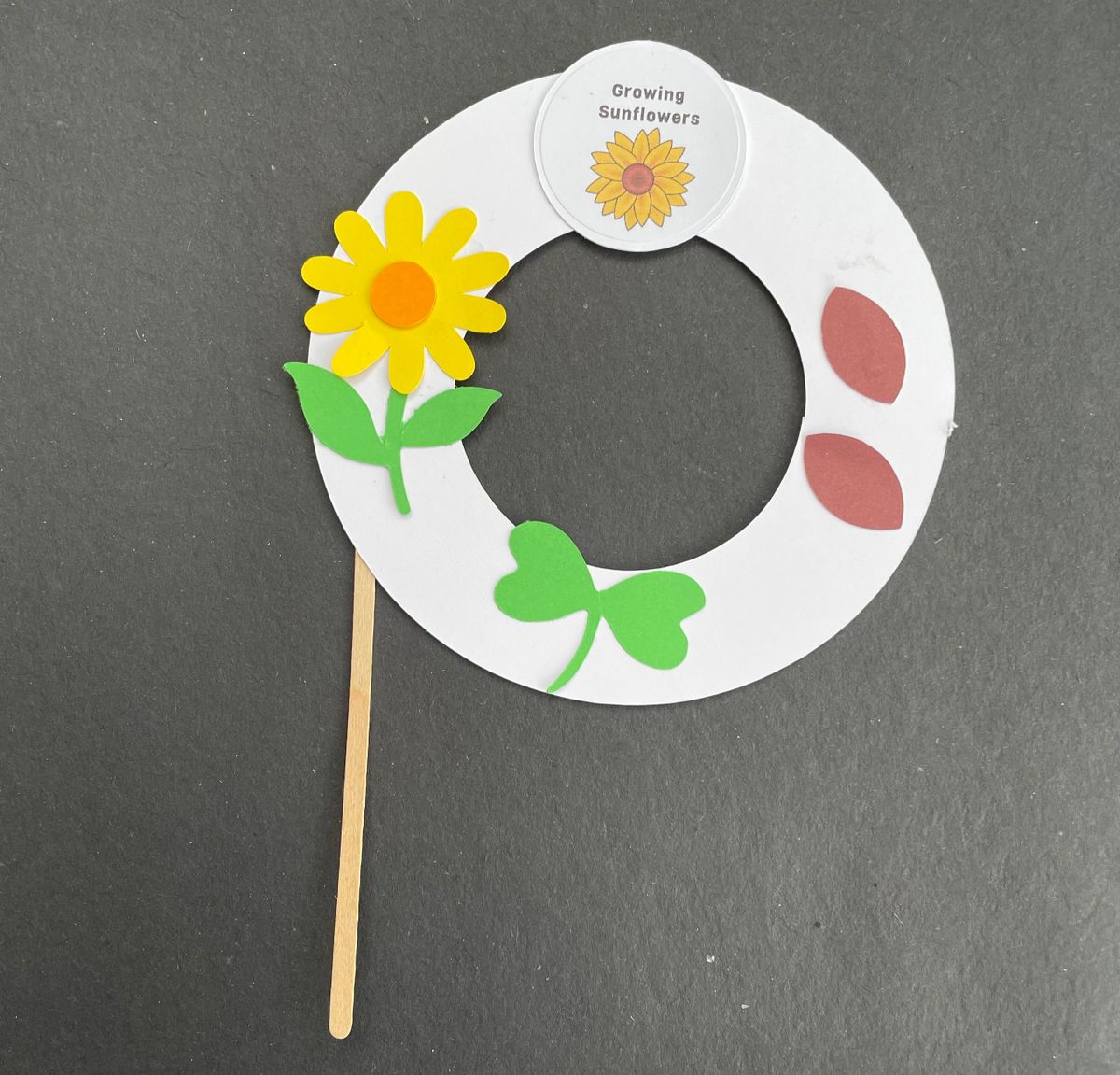 Growing sunflowers activity pack