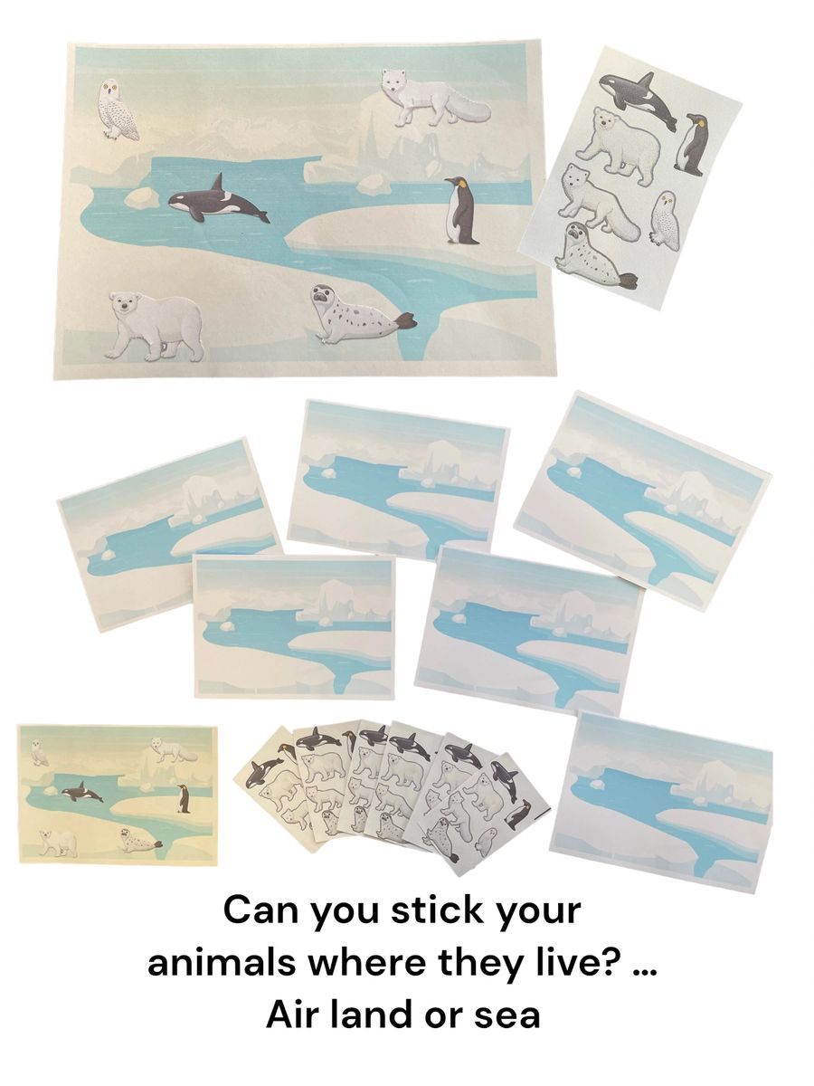 Winter Arctic Animal activity pack