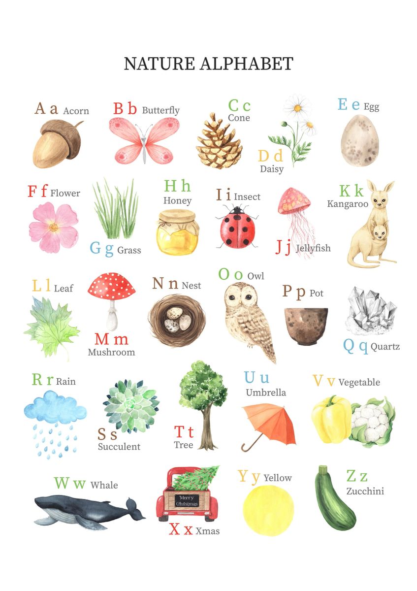 Nature Alphabet Poster