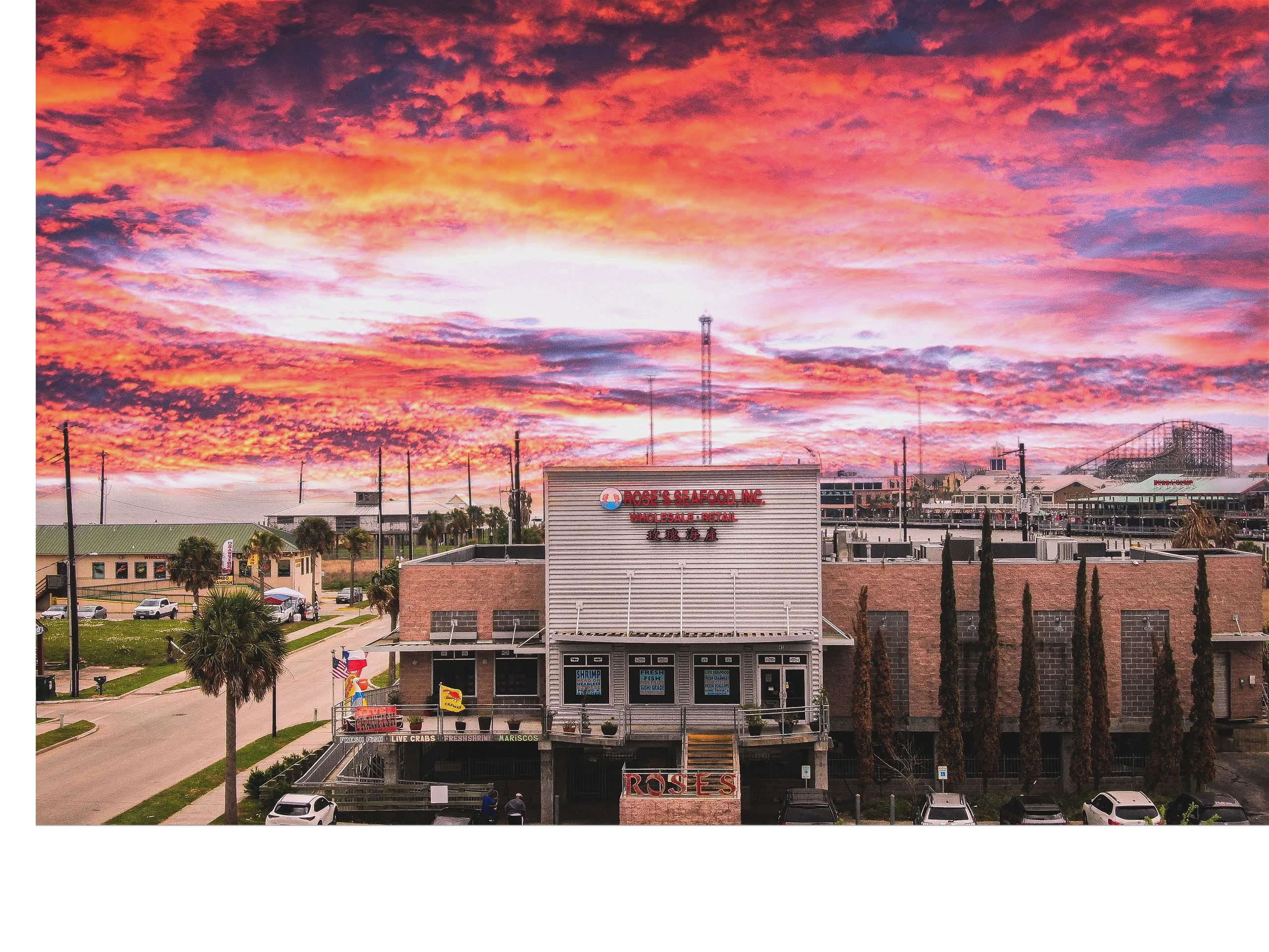 Rose Seafood: Fresh Fish Market in Kemah, TX