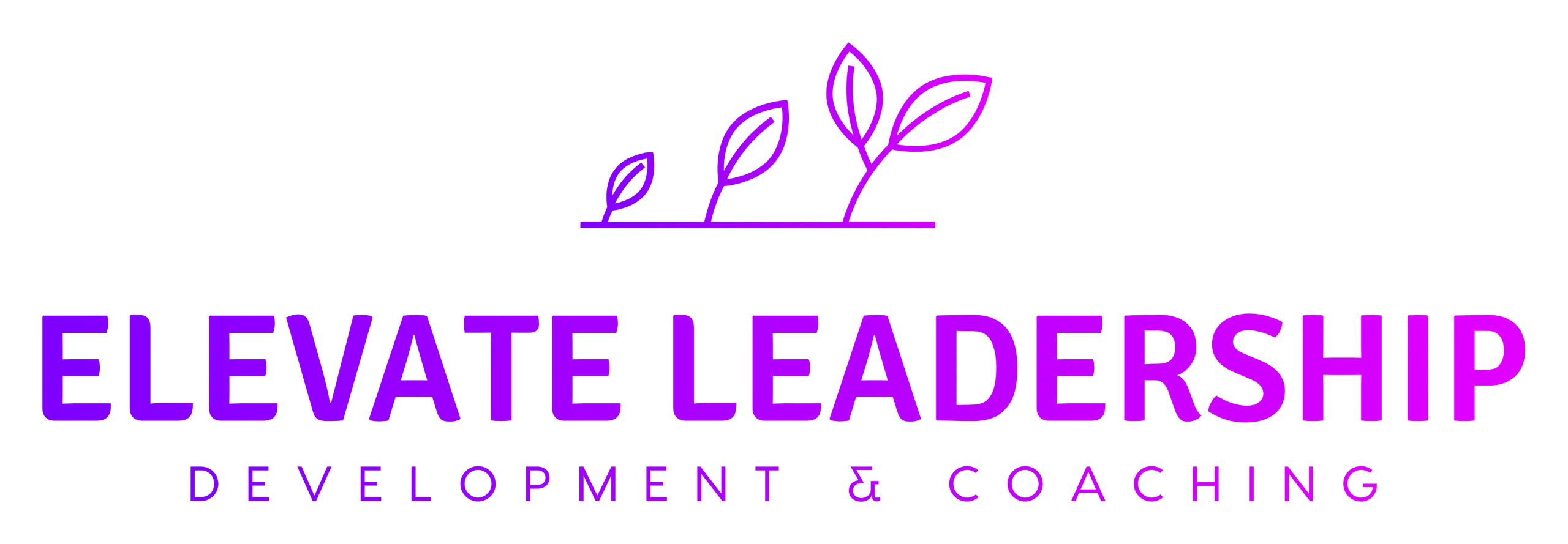 Values | Elevate Leadership