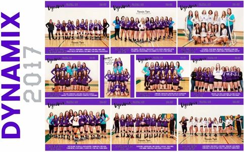 Dynamix Volleyball Club