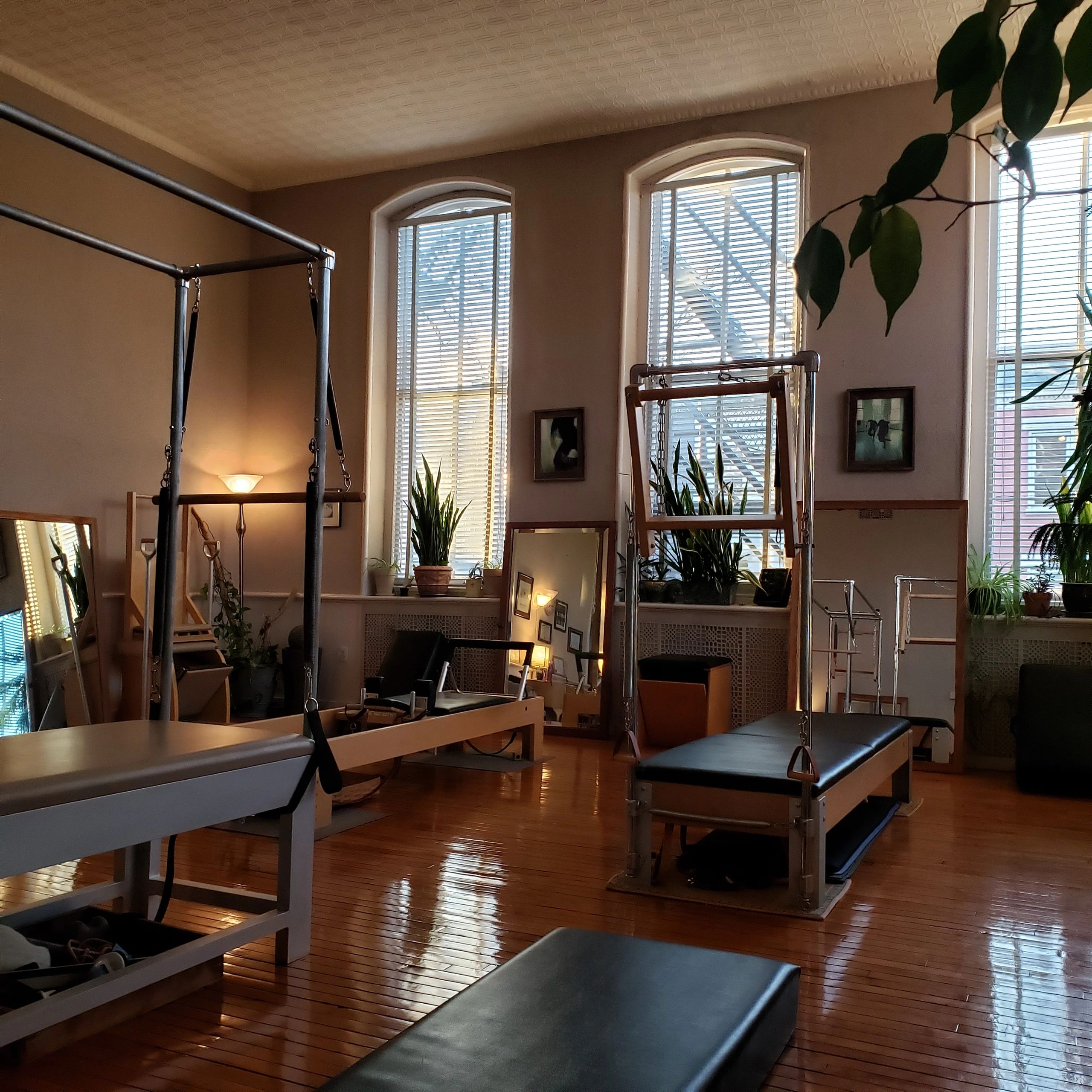 the pilates fitness studio