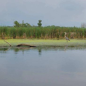 Fox River Canoe Adventures and Kayaks - Adventure, Canoe, Kayaks