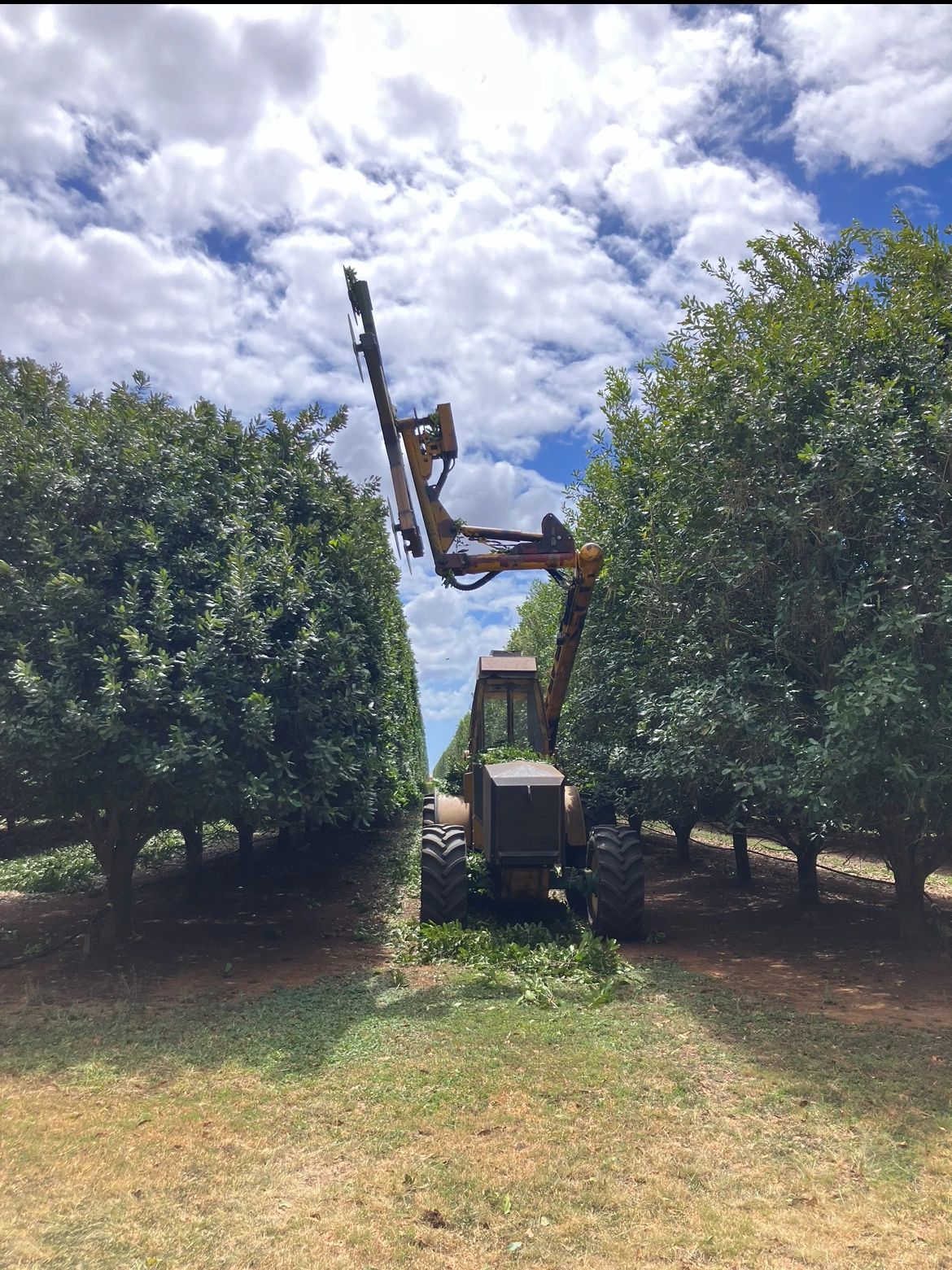 Sheppard Orchard Services