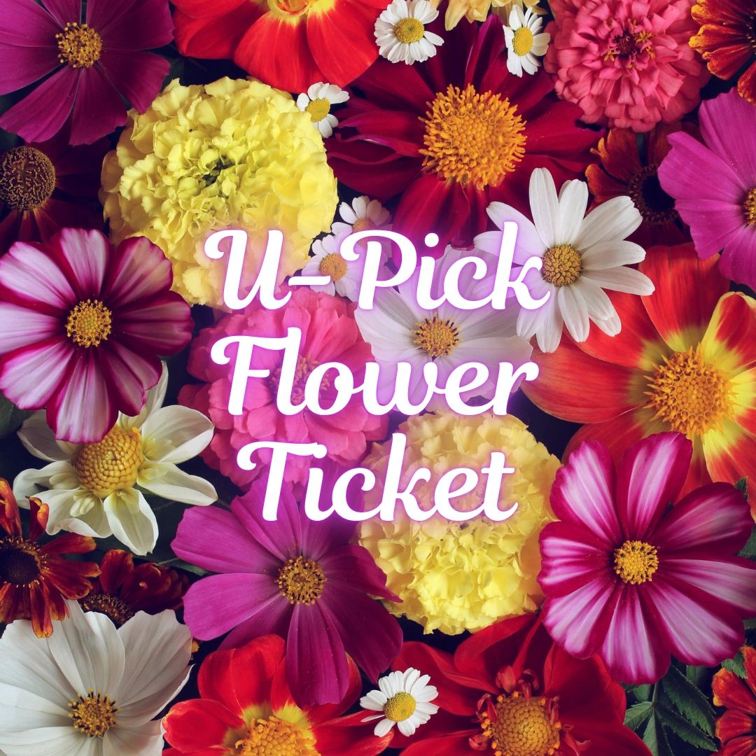 U-Pick Flower Ticket