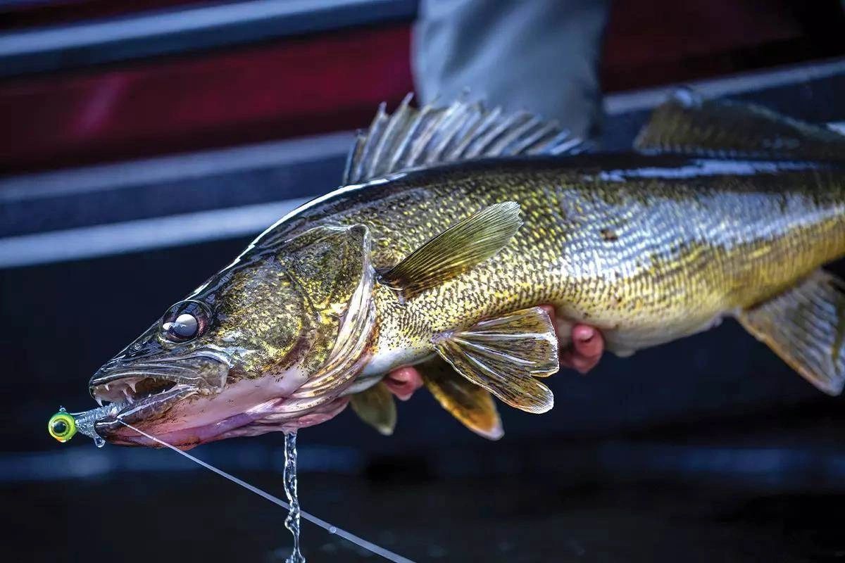 Fishing, Fishing Guide Service, Fishing Guide - Northwoods Angling Edge ...