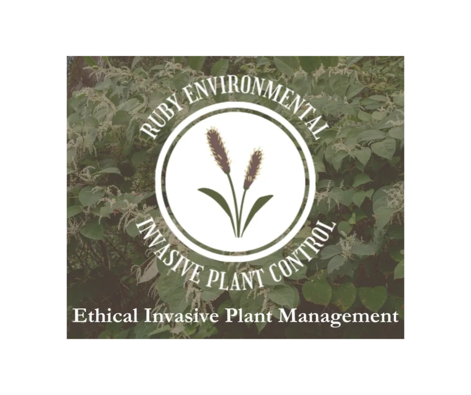 Invasive Plant Management