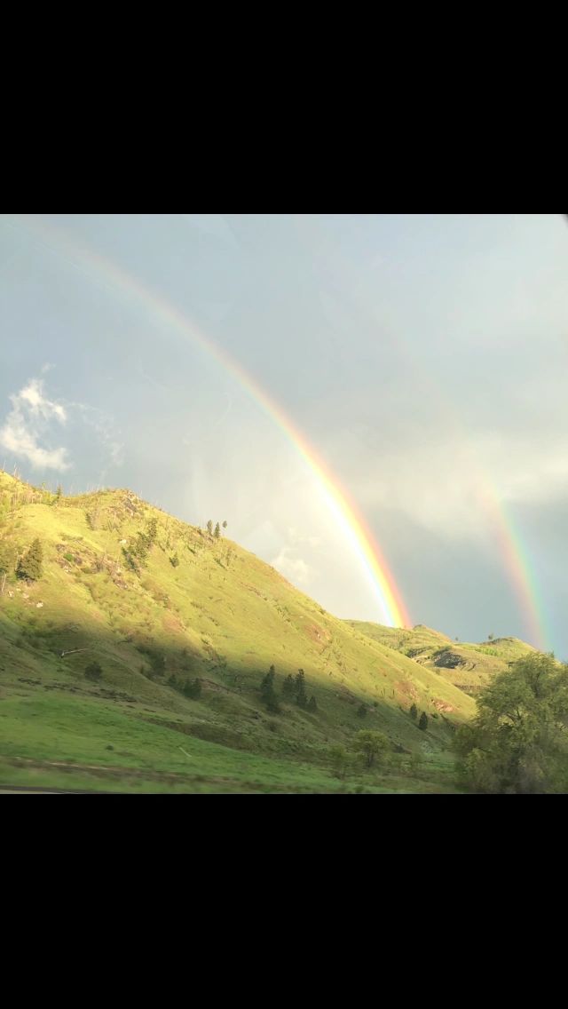 CarlaHecht.com - Evidential Psychic Medium, Psychic, Mediumship